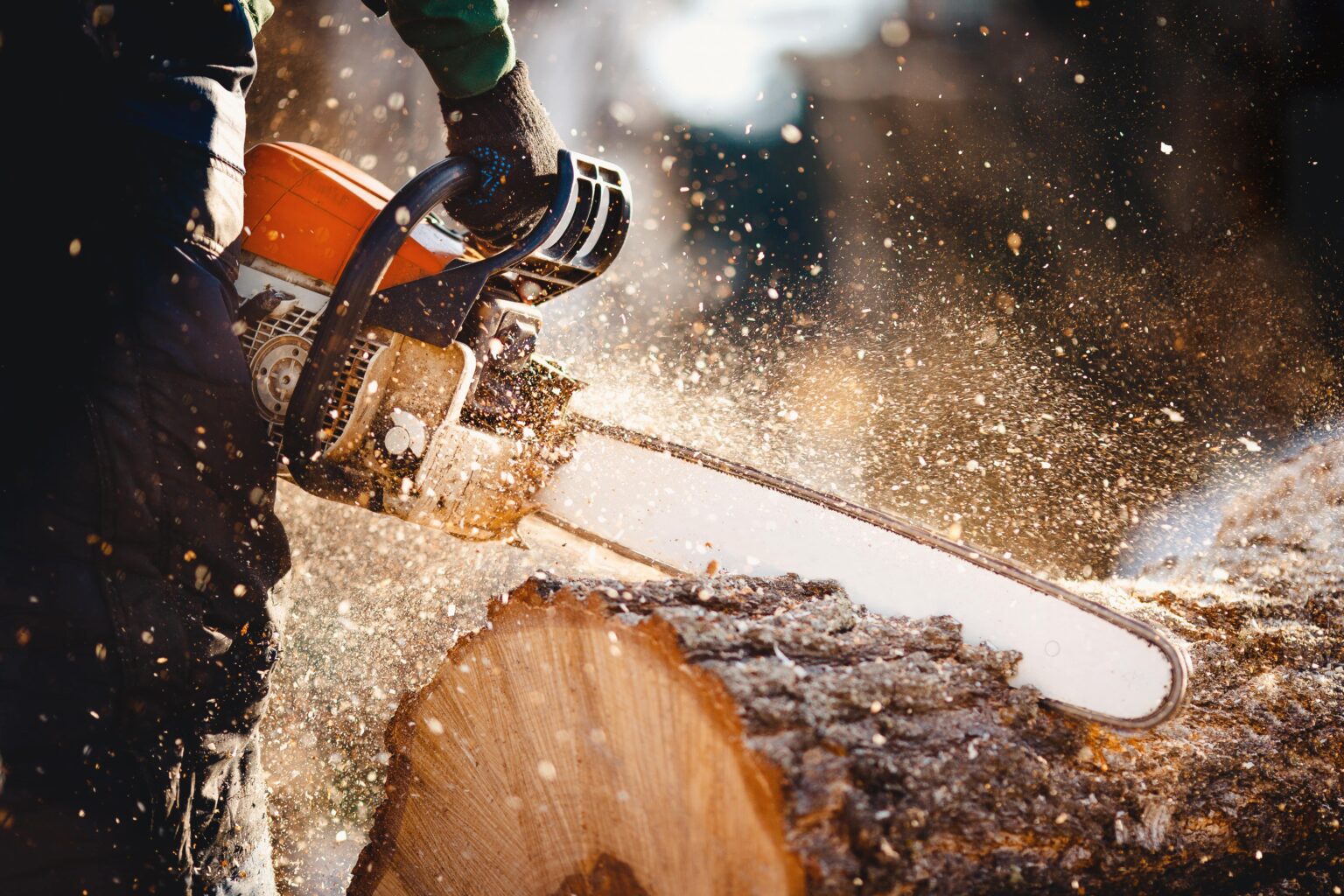 Chainsaw Ticket | Certified Chainsaw Safety Training